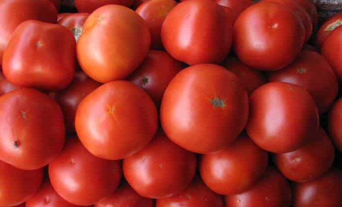 Jitomate se vende hasta en 50 pesos el kilo