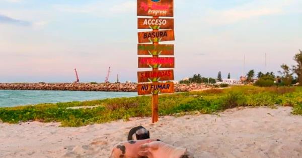 Descubre Pig Beach en Yucatán