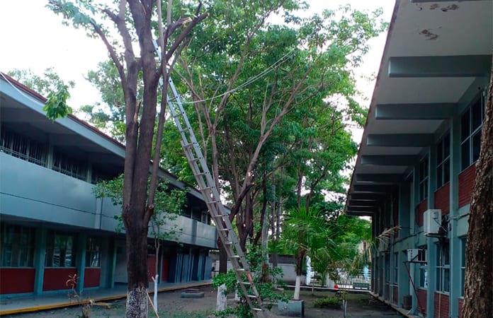 Reportan tala inmoderada en el Conalep