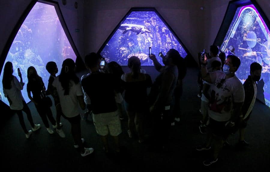 Museo del Meteorito, una mirada al rol de la península de Yucatán en la ...