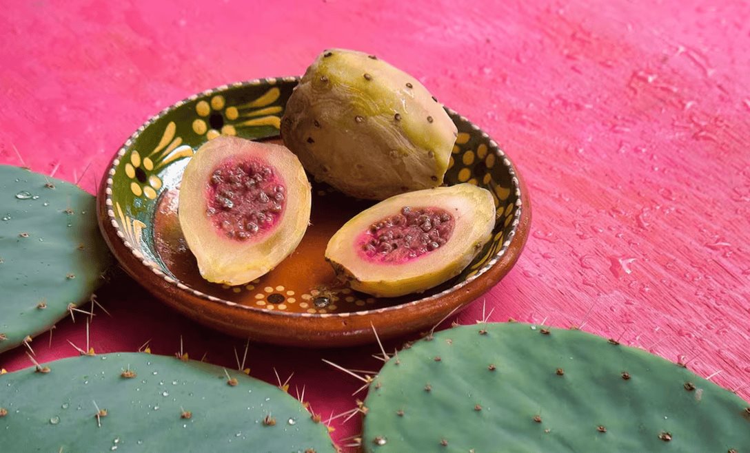 Beneficios del xoconostle para la salud